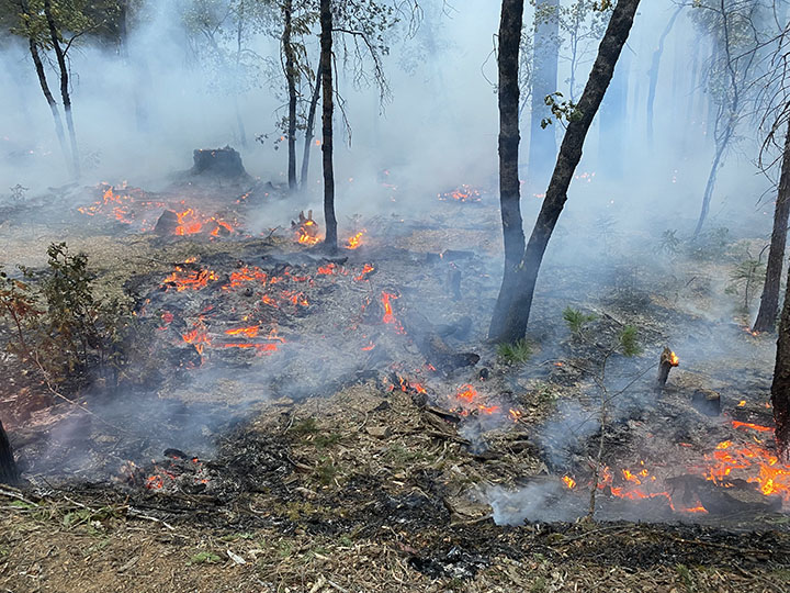 Multiple RX Burns Begin as the BLM and Plumas Ntl Forest Mitigate ...
